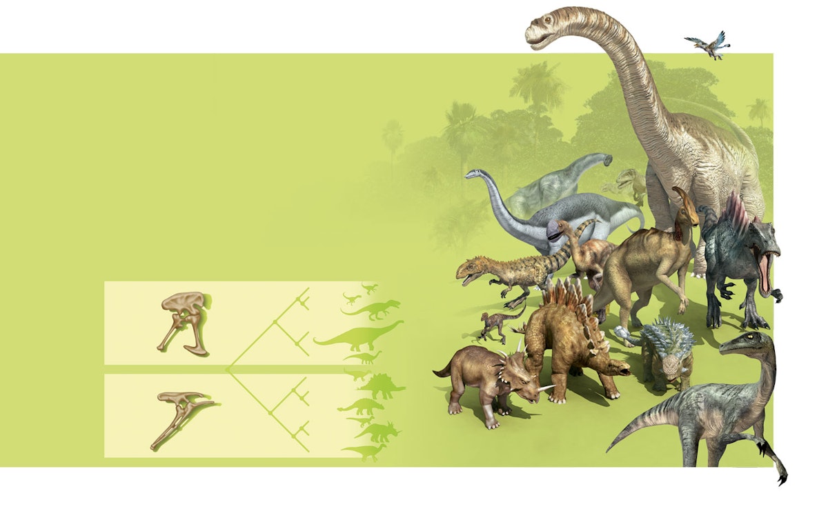 Hoeveel dinosaurussen zijn er ooit geweest? | Wibnet.nl Hoeveel dinosaurussen zijn er ooit geweest? | Wibnet.nl