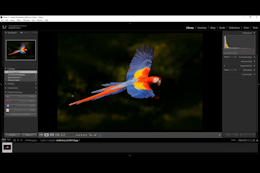 Reduce Gif Size In Photoscape X Forwardjoker