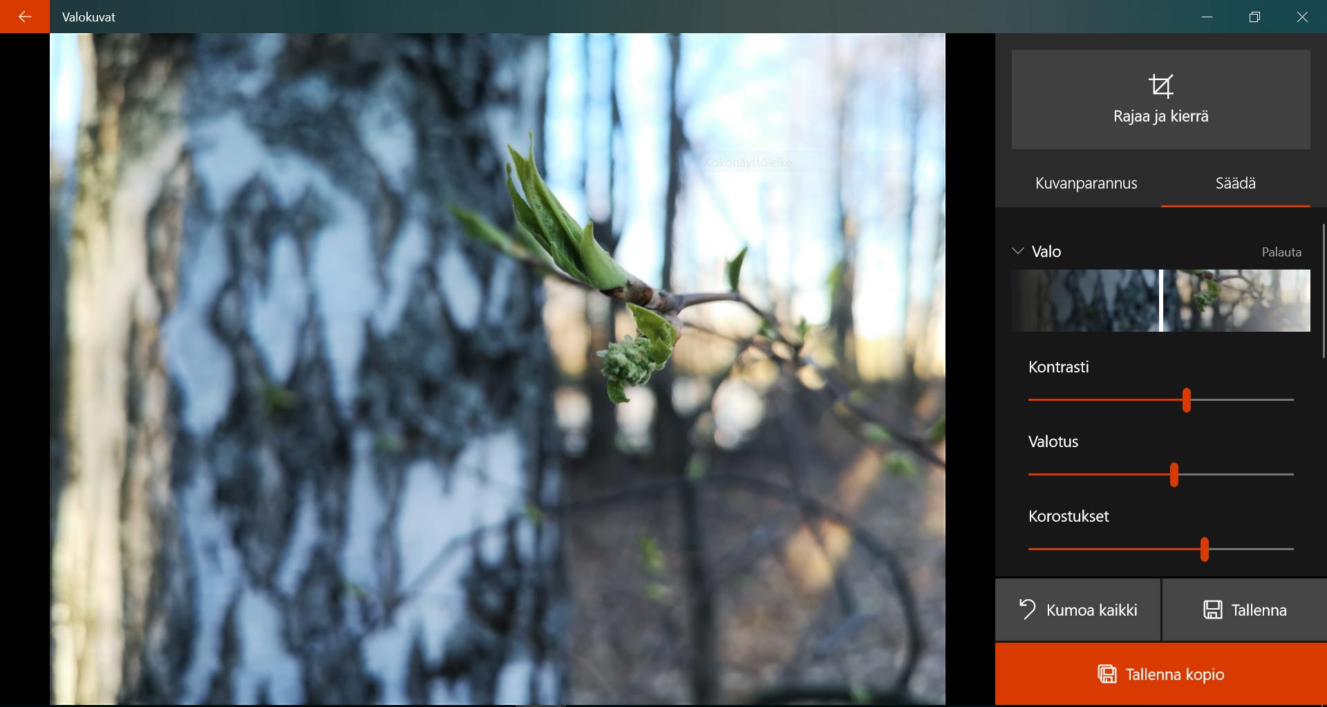 Kuvankäsittelyä suoraan Windows 10:llä | Digi-kuva.fi